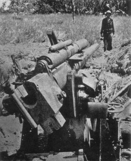 Japanese naval gun, Buna