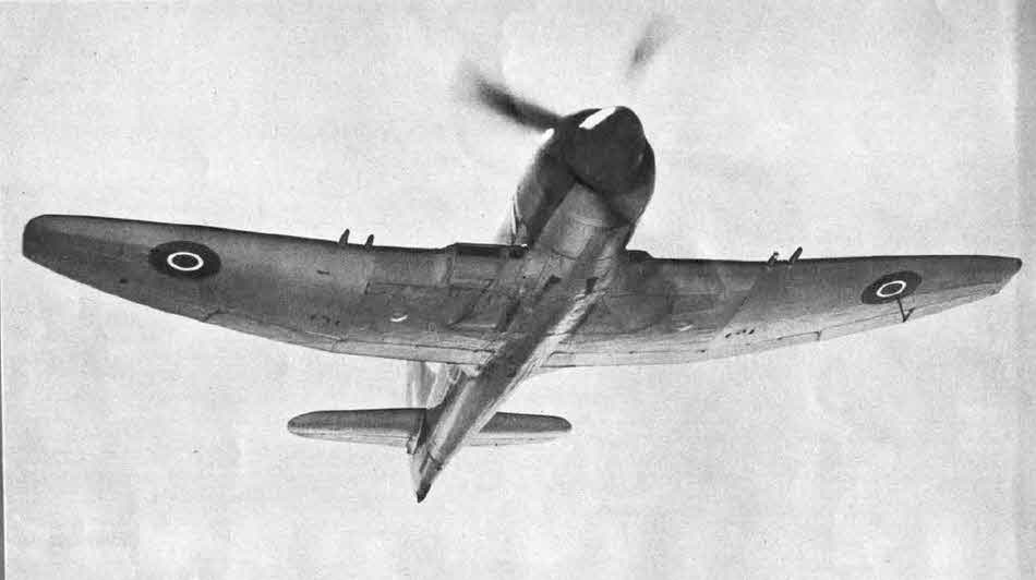 Hawker Tempest II from Below