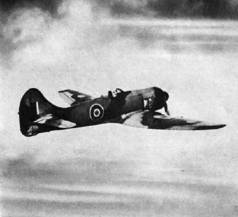 Hawker Tempest II from the right-rear